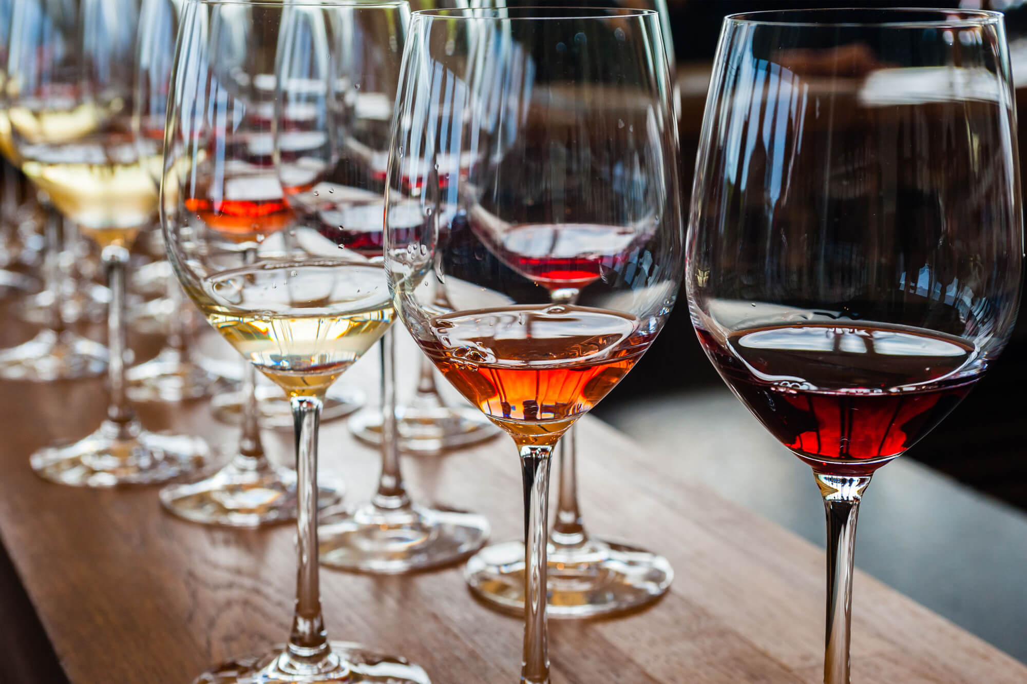 Griffith food and wine tours | Griffith | New South Wales