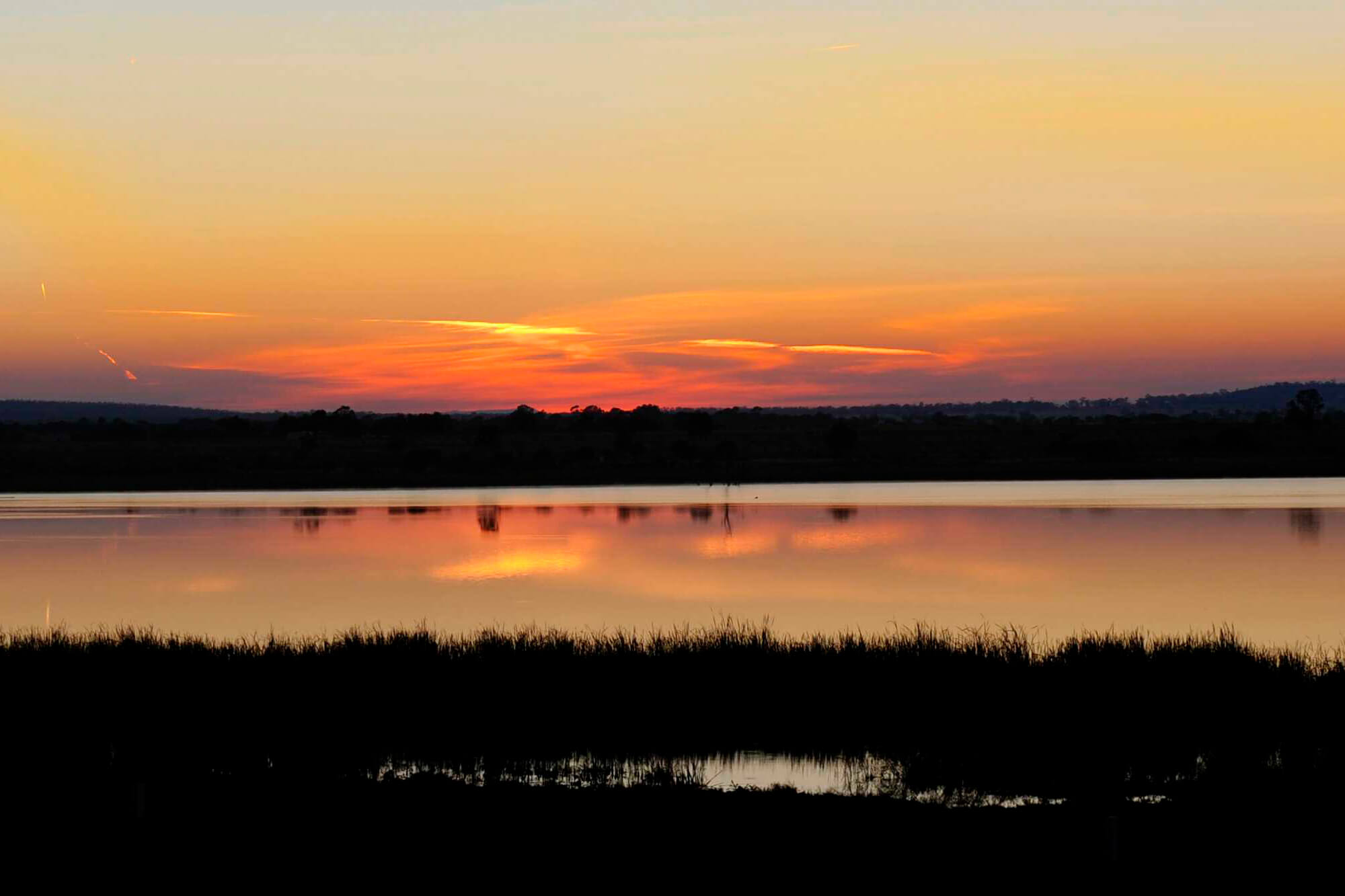 Griffith Tours | Home Page | Griffith | New South Wales